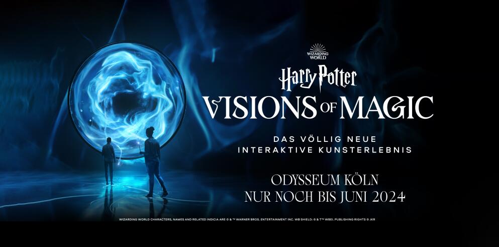 Harry Potter: Visions of Magic