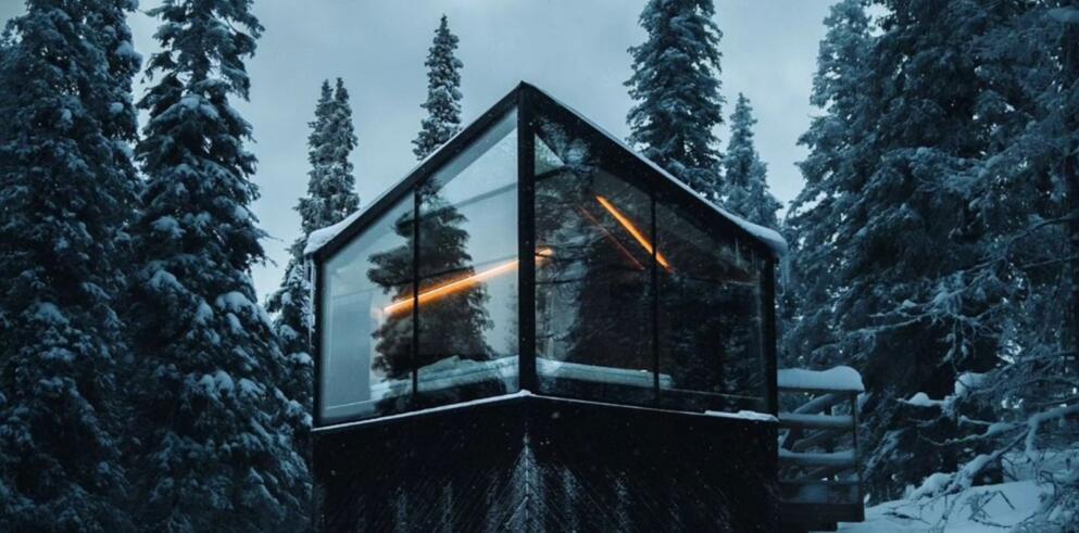 Magical Pond