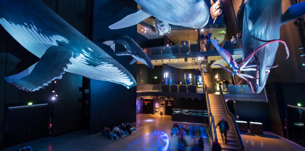 OZEANEUM Stralsund • Ticket + Hotel ab 65€ – Travelcircus